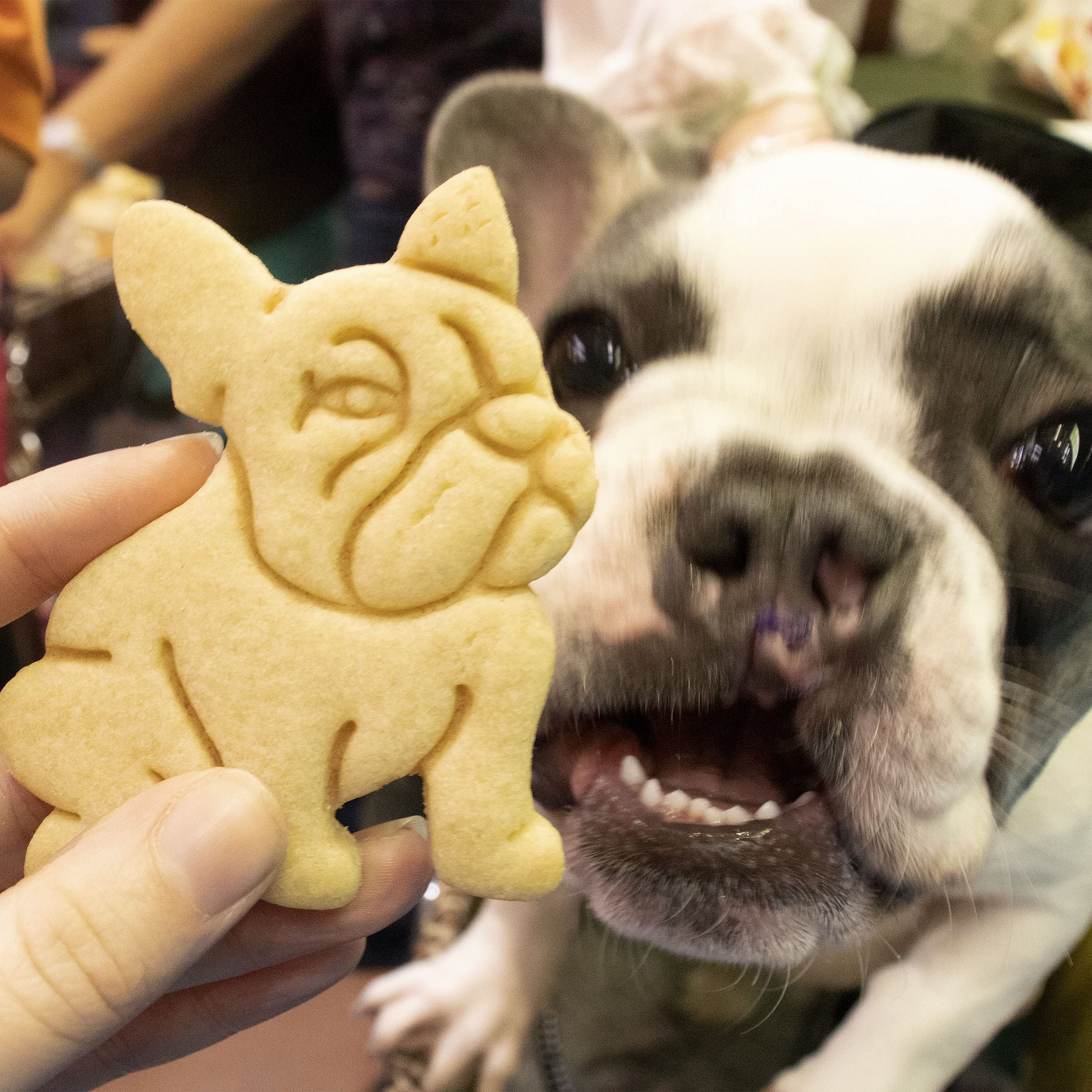 Set of 2 French Bulldog cookie cutters (Designs: Body & Face), 2 pieces - Bakerlogy
