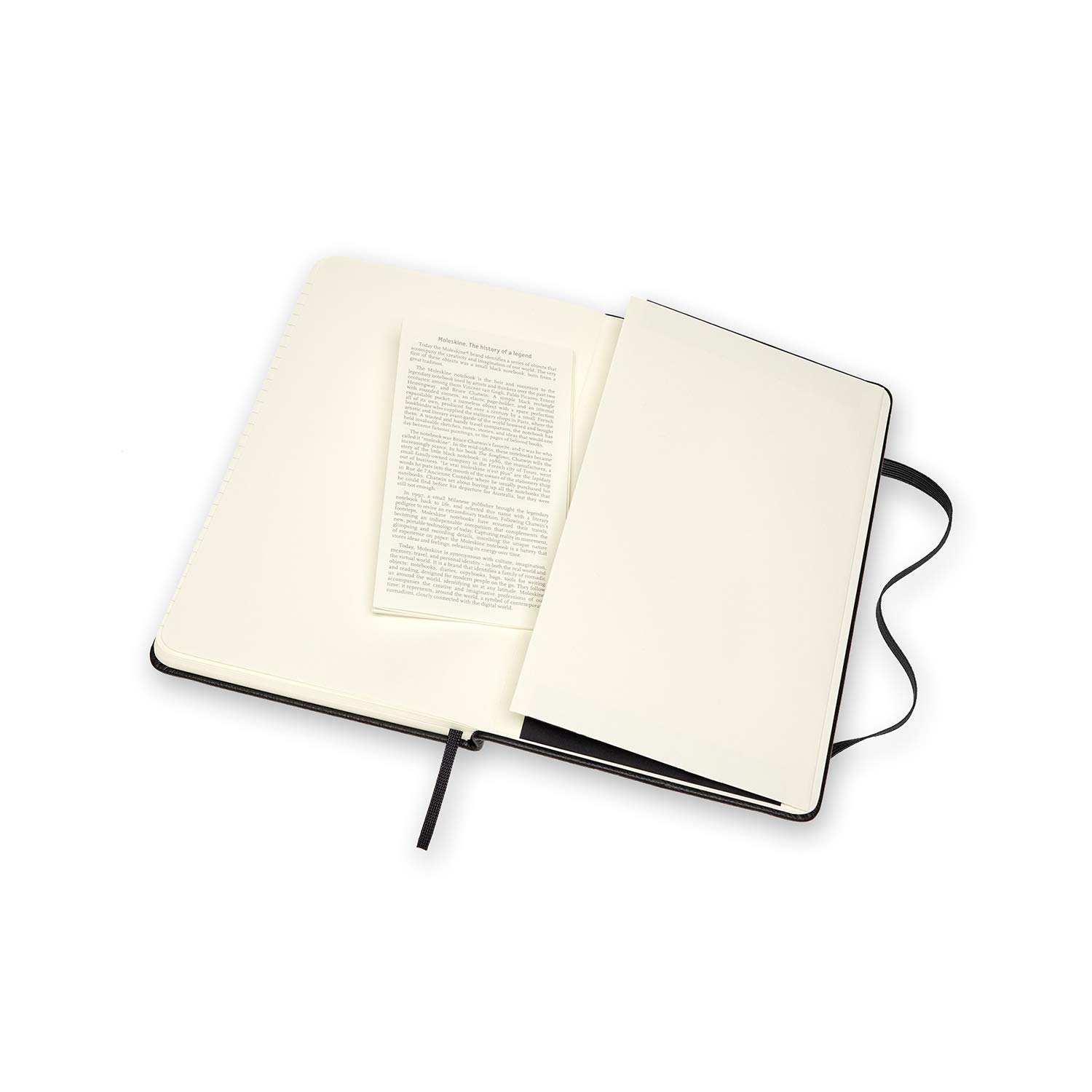Moleskine Limited Collection Notebook Leather, Large, Ruled, Hard Cover, Open Box, Forget Me Not Blue (5 x 8.25)