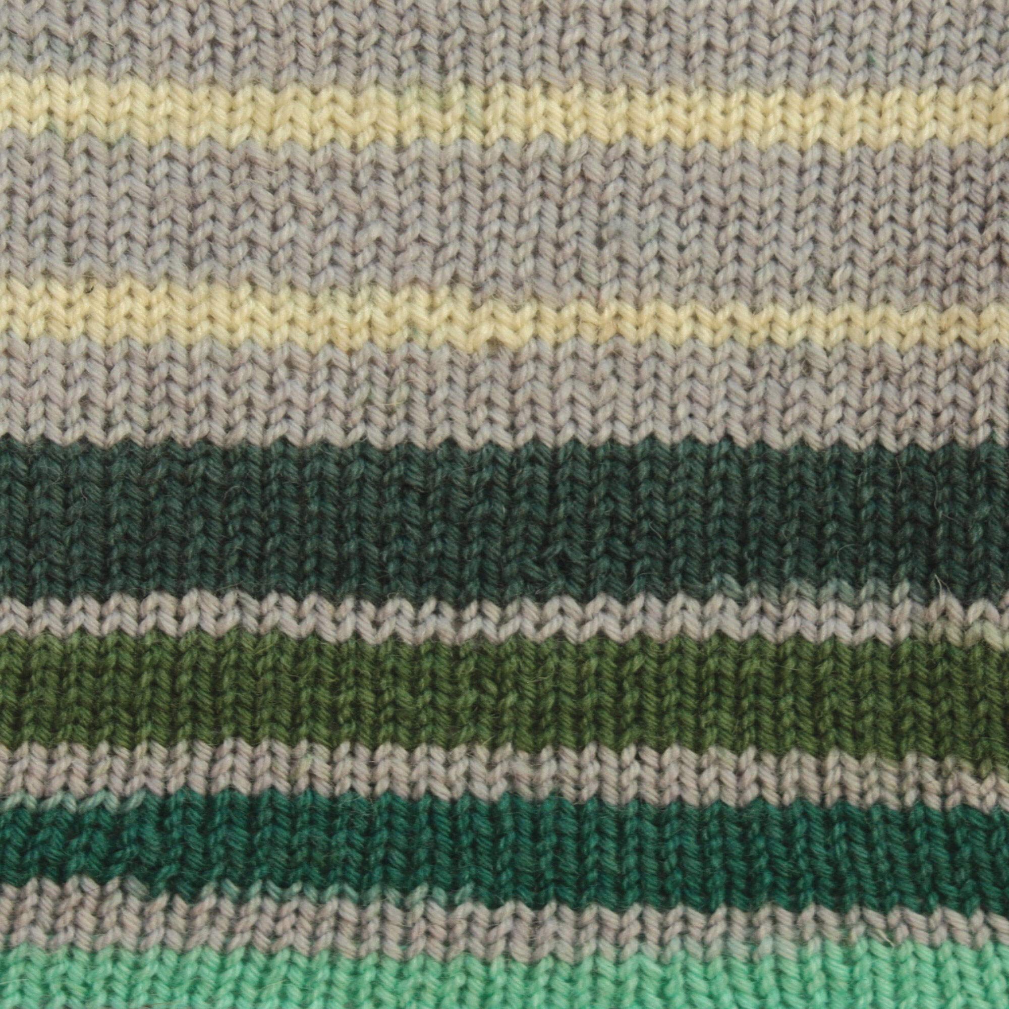 Patons Kroy Socks Yarn, 2-Pack, Landscape Stripes