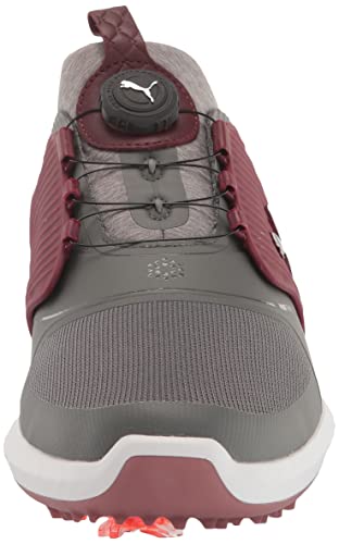 PUMA Men's Ignite Pwradapt Caged Disc Golf Shoe, Quiet Shade Silver-Zinfandel, 13