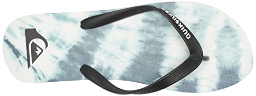 Quiksilver Men's Molokai Art Flip Flop Sandal, Grey 1, 8