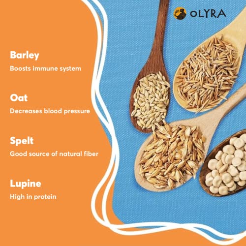 Olyra Breakfast Biscuits Variety Pack | Kids Healthy Snacks | Low Sugar, High Fiber, Plant-Based Protein Cookies | Organic Breakfast Cookies with Ancient Greek Grains | Boost Energy and Immunity 4 Count (Pack of 6)