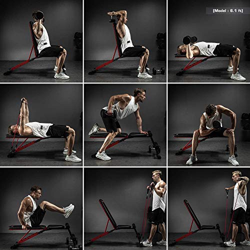 Pelpo Weight Bench for Full Body Exercise, Adjustable Workout Bench Press for Home Gym Strength Training And Weightlifting, Incline/Decline Utility Extension Bench Set For 6 Positions, Black Frame