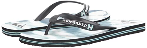 Quiksilver Men's Molokai Art Flip Flop Sandal, Grey 1, 8
