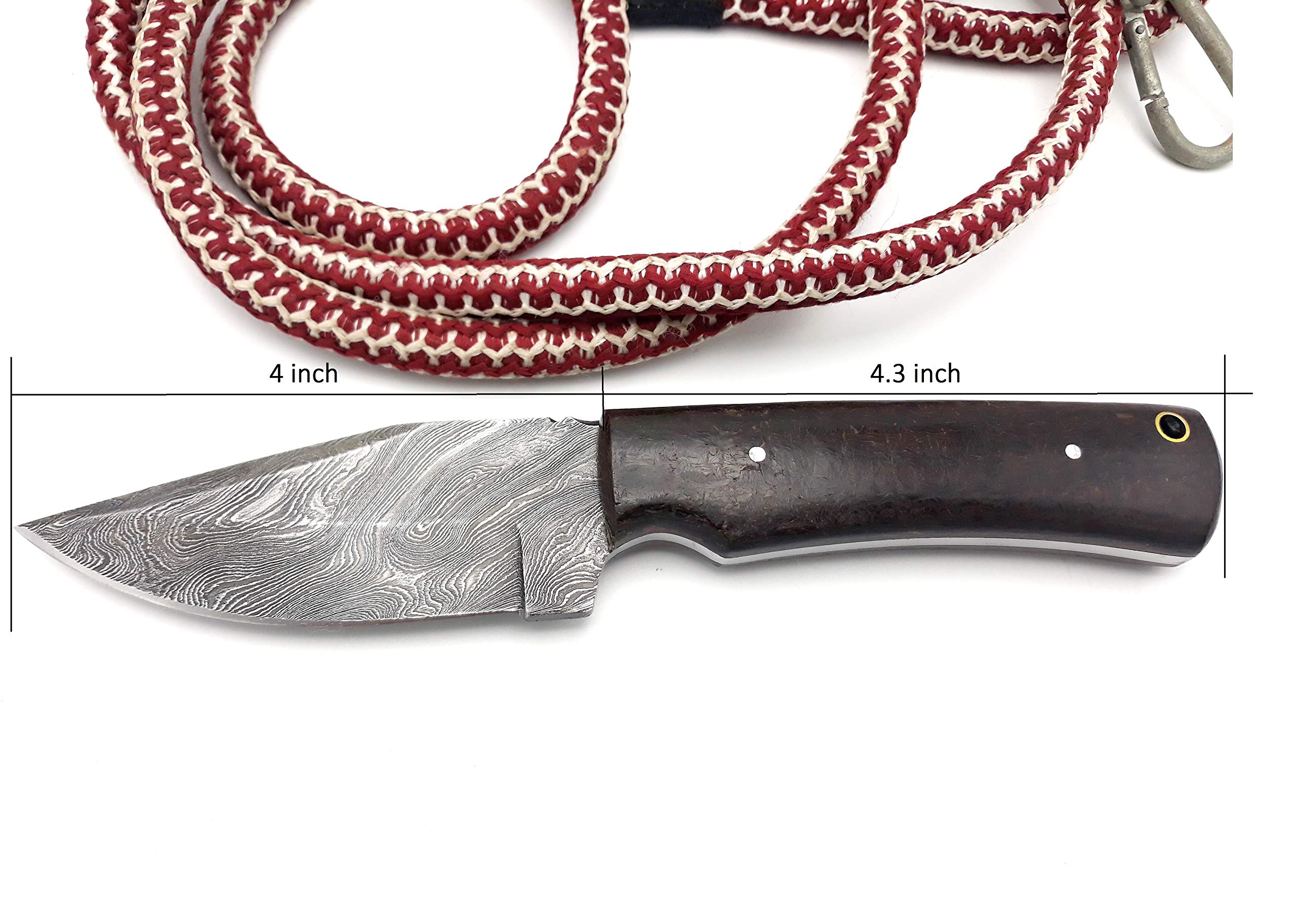 Nooraki SK-65 Handmade Damascus Hunting Knife 8.5 inches Full Tang Blade with Leather Sheath Skinner Knife, Exotic Walnut Wood Handle