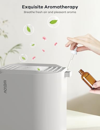 WELOV Air Purifiers for Home, Mini Portable H13 HEPA Air Purifiers with Aromatherapy for Better Sleep, 315 Sq Ft Coverage, 23dB Air Purifier for Bedroom