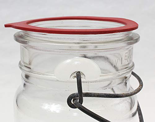 Viceroy Rubber & Plastics Rubber Rings For Wide Mouth Canning Jar, 12-Pk.