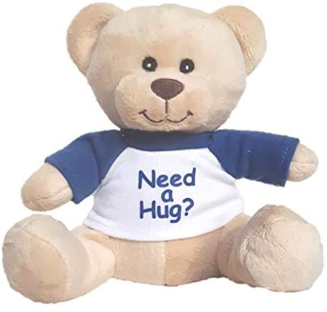 Soft and Cuddly 6 Inch Small Plush Comforting Stuffed Animal with T-Shirt (Need a Hug Teddy Bear)