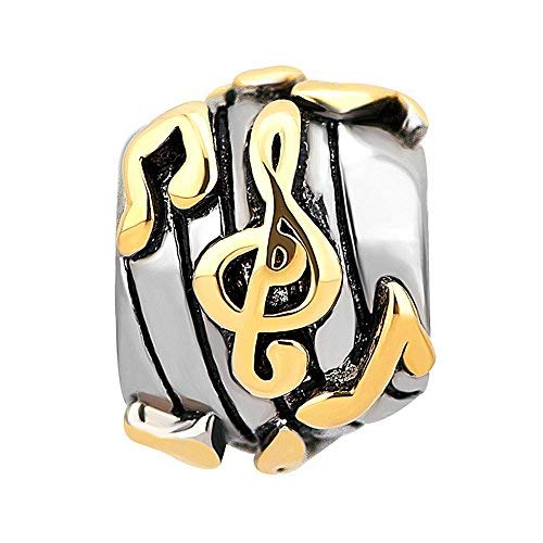 LilyJewelry Love Music Staff Charm for Mom Notes Beads Teacher Friends Lover Gift Compatible with Pandora Charms Bracelet(Notes1)