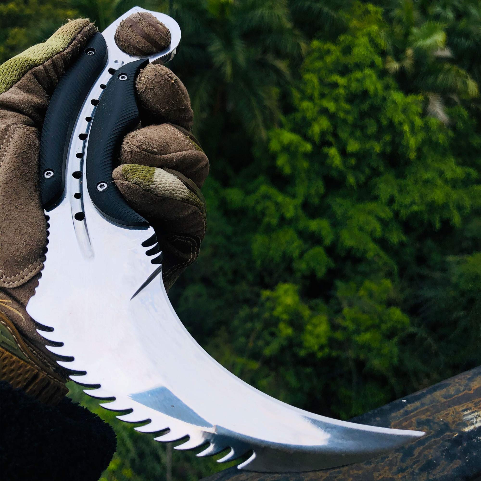 Rhinosteel Custom Eagle Beak Design Heavy Collect Gift Full Tang Karambit Knife D2 Steel Stonewash & Mirror Fixed Blade Outdoor Camping,Tactical ,Survival,Hunting Knives -Leather Sheath (Mirror)
