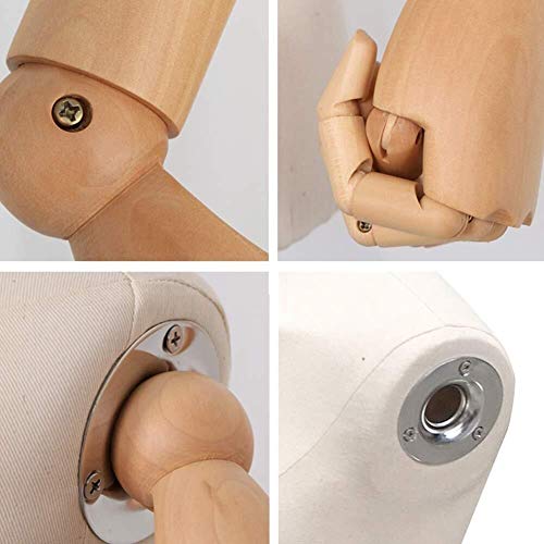 Mannequin Dress Form Torso Mannequin Torso Female Tailors Dummy Mannequin Dressmakers Dummies Fashion Students Display Bust Adjustable for Apparel Jewelry Display Stand (