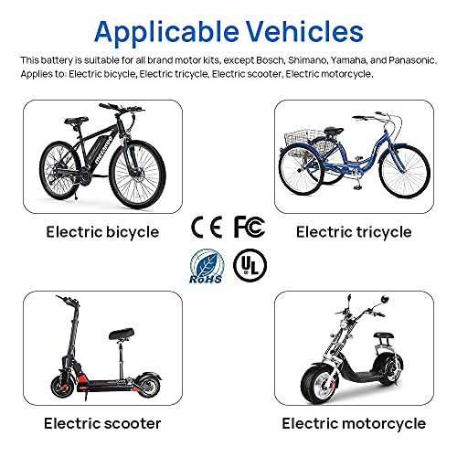 QWW 48V20AH 2000W Lithinum ion Battery for Electric Bicycle Scooter Tricycle Motorcycle,Electric Bicycle/Scooter/Tricycle/Motorcycle Battery with Charge