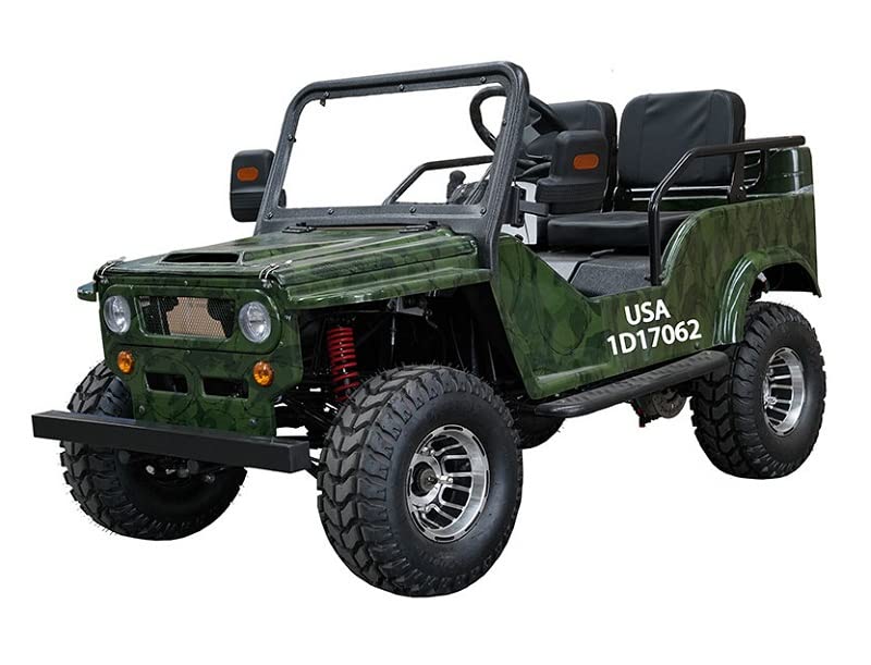 VITACCI GR2-125cc GoKart with Windshield 125cc Semi Auto Youth Jeep Go-Kart with Reverse (Green Color)