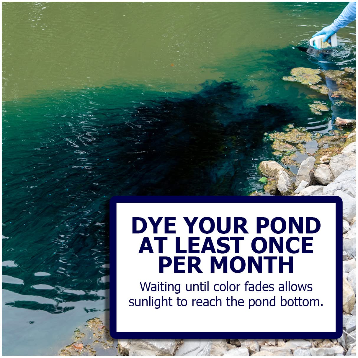 Natural Waterscapes Pond Dye - Midnight Blue Super Concentrate- 1 Quart Treats 1 Acre up to 6 Feet Deep, Dark Natural Looking Blue Pond Dye- Mix of Bright Blue Dye and Black Dye (1)