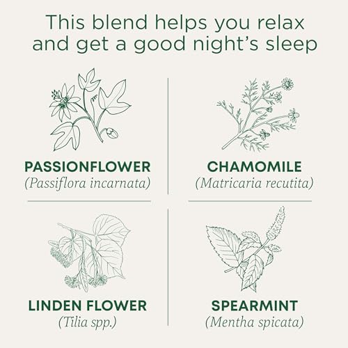 Traditional Medicinals Tea, Organic Nighty Night, Relax & Get a Good Night's Sleep, 96 Tea Bags (6 Pack)