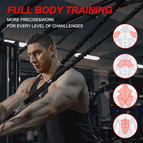 SPRWHALE AB Roller Wheel 6in 1 Set,Ab Workout Equipment with Resistance Band ,Exercise Roller for Abs Workout & Core Strength Training for Beginner Exercise at Home, Abdominal Roller with Gym