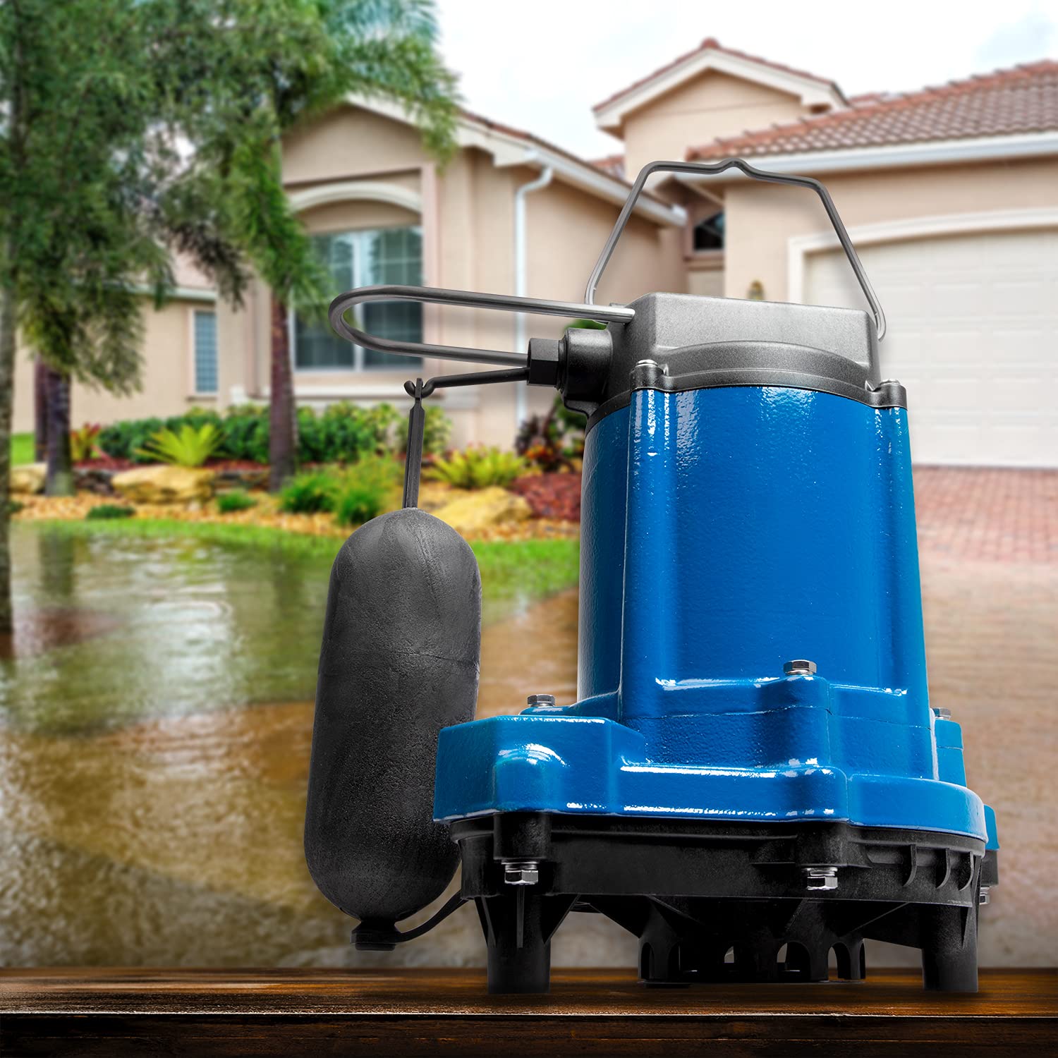 Little Giant LG-SC75SA 115 Volt, 3/4 HP, 5200 GPH Cast Iron Sump Pump with Snap Action Switch, Blue, 14942678