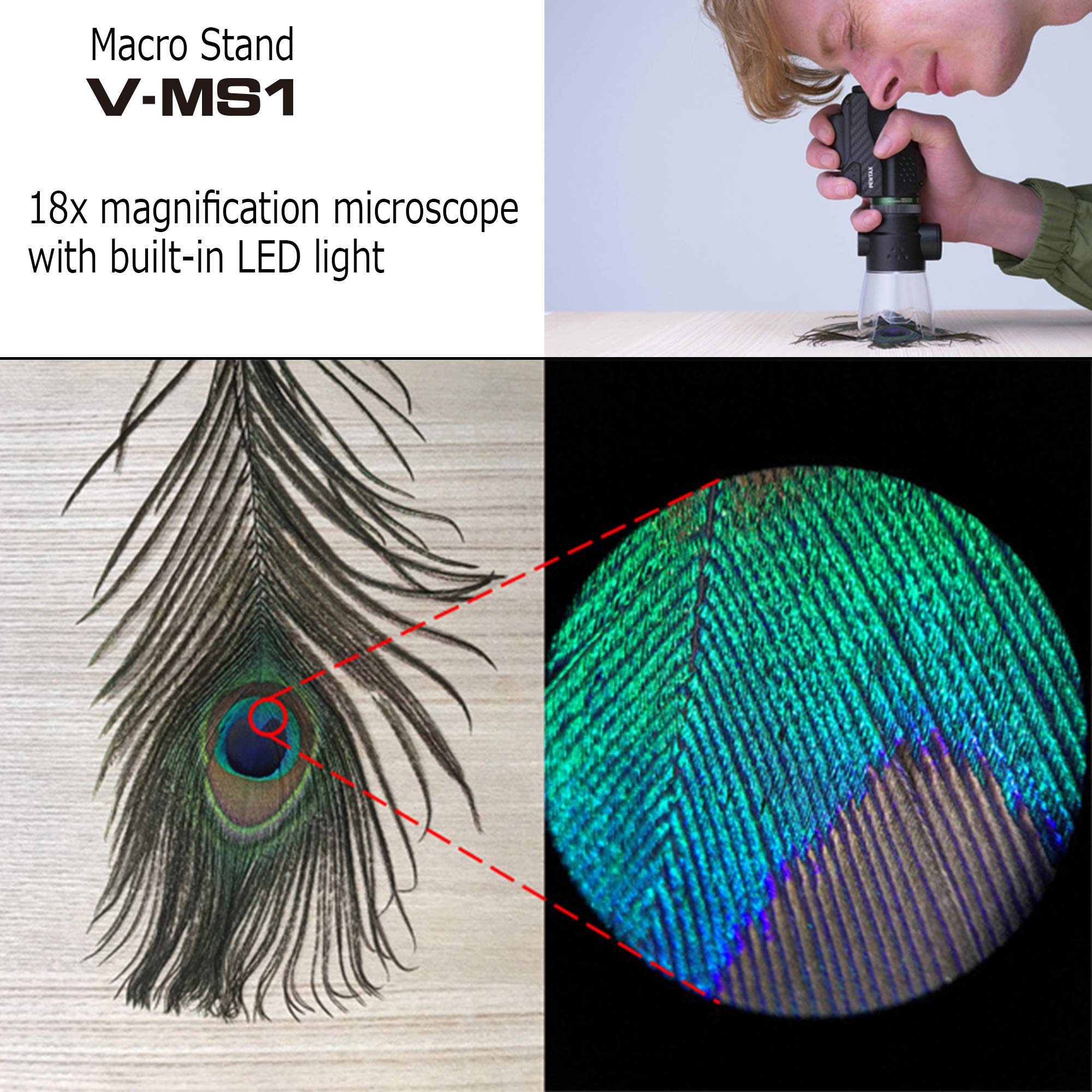 PENTAX V-MS1 Monocular Macro Stand with LED Light for PENTAX VM6X21 When Attached to The monocular, You can use it as a Microscope for 18x Magnification - Perfect for observing Microscopic Detail
