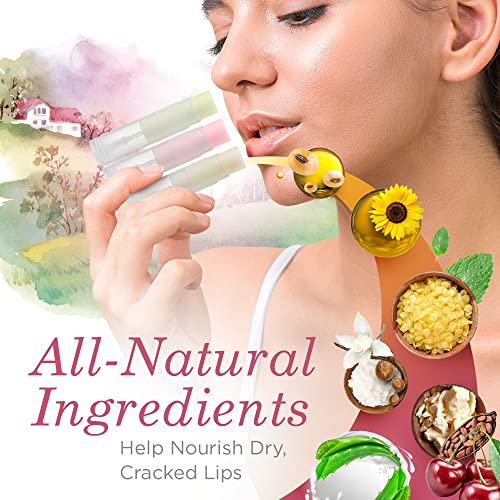 Maria Child All Natural Lip Balm Bulk - Chapstick Lip Conditioner Contains Beeswax Sunflower Oil Vitamin E and Other Moisturizing Ingredients Comes in Customizable Packaging (Vanilla Bean, 50 Pack)