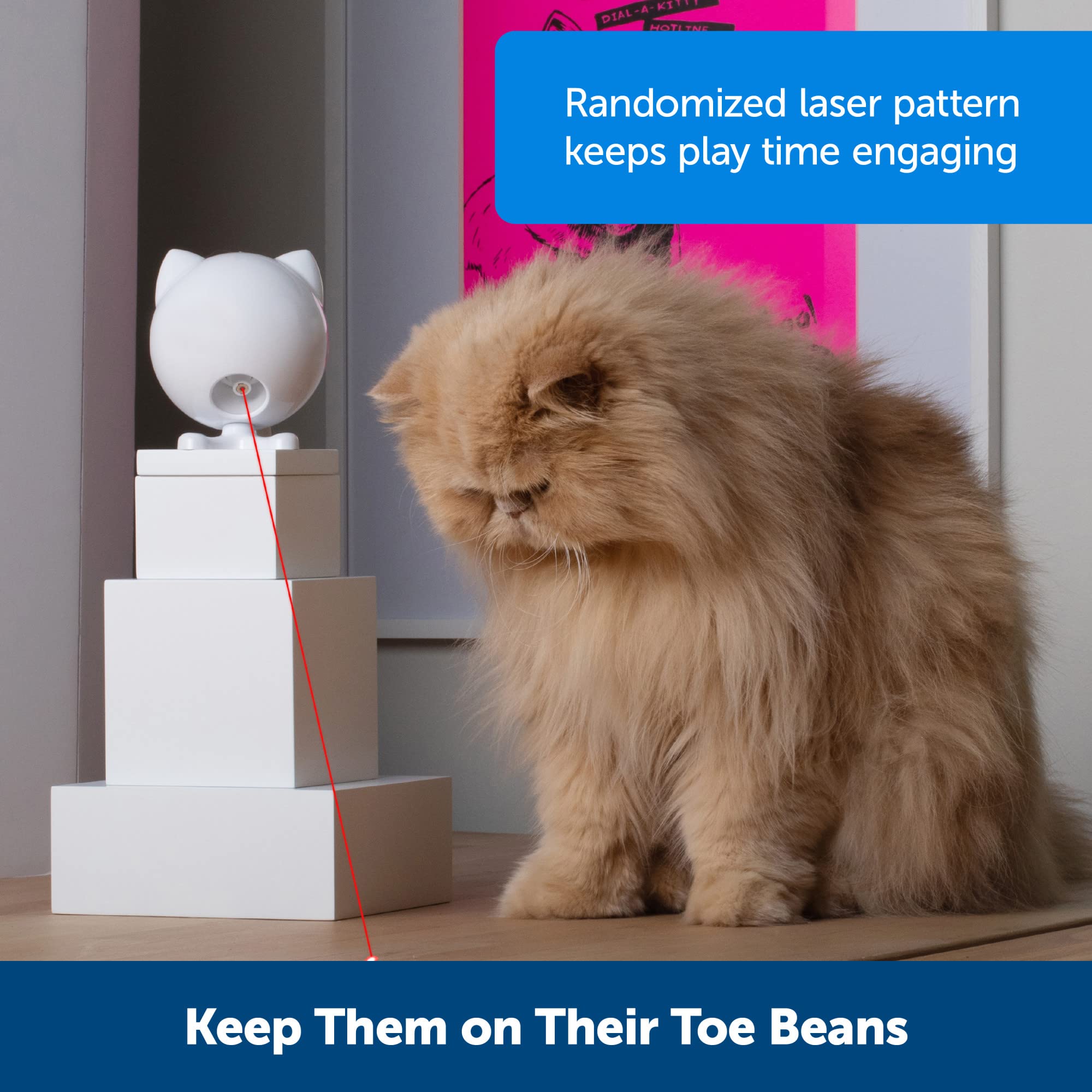 PetSafe Dancing Dot - Automatic Cat Laser Toy - Interactive - Relieves Anxiety & Boredom - Bug-Like Laser Pattern - Hands-Free Play - Hang from Doorknob or Set on Elevated Surface - Play-All-Day Mode