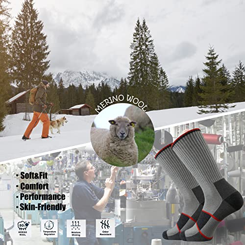 Ortis Men's Merino Wool Cushion Crew Socks with Moisture Wicking Control Light Weight Breathable for Outdoor Hiking Cycling(Mix Color2 L)