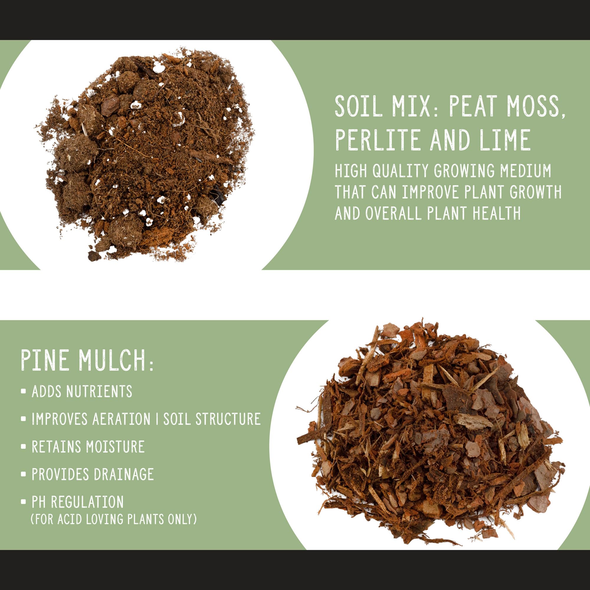 Monstera Houseplant Potting Soil Mix (2 Quarts), Custom Blend for Growing and Repotting