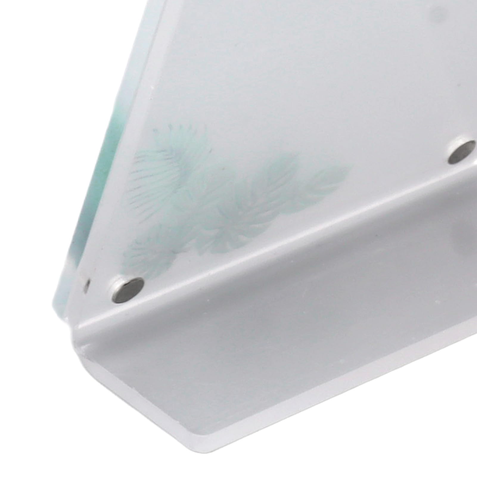 Photo Frame, Clear Acrylic Desktop Photo Frame Simple Cleaning Magnetic Stable Placement for Home (Monstera Leaves)