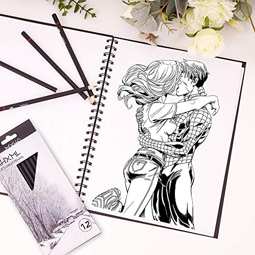Professional Drawing Sketch Pencils Set, 12 Pieces Drawing Pencils, 8B,7B, 6B, 5B, 4B, 3B, 2B, B, HB, F, H, 2H Graphite Pencils, Ideal for Drawing Art, Sketching