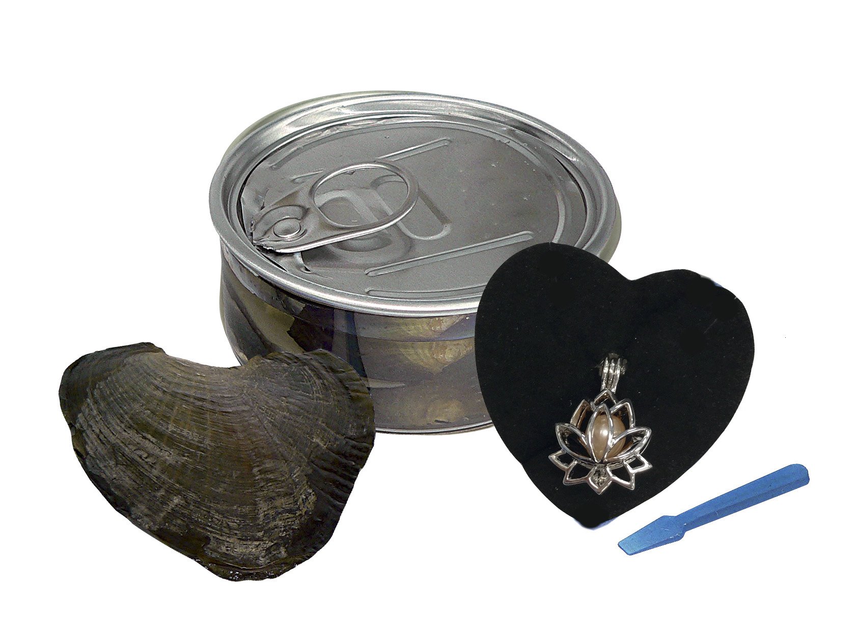 My Inspirations Precious Pearl Pearl in Oyster Kit, Mysterious Pearl Gift Set, DIY Necklace Making Kit, Elegant Pendant with 20" Chain, Great Gift for Any Occasion(Lotus)