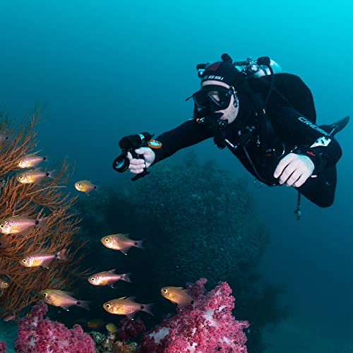 PARALENZ Vaquita 2nd Gen Underwater 4K Camera – Ultra-Wide 150° Lens, 12MP, OLED Display, Waterproof to 350m, WiFi, GPS, Automatic Depth-Controlled Color Correction, Dive Camera