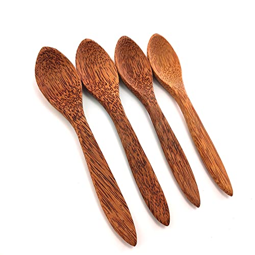 MABSSI Wooden Cutlery Natural Wooden Coconut Spoon, Coconut Shell Bowl Spoon Set