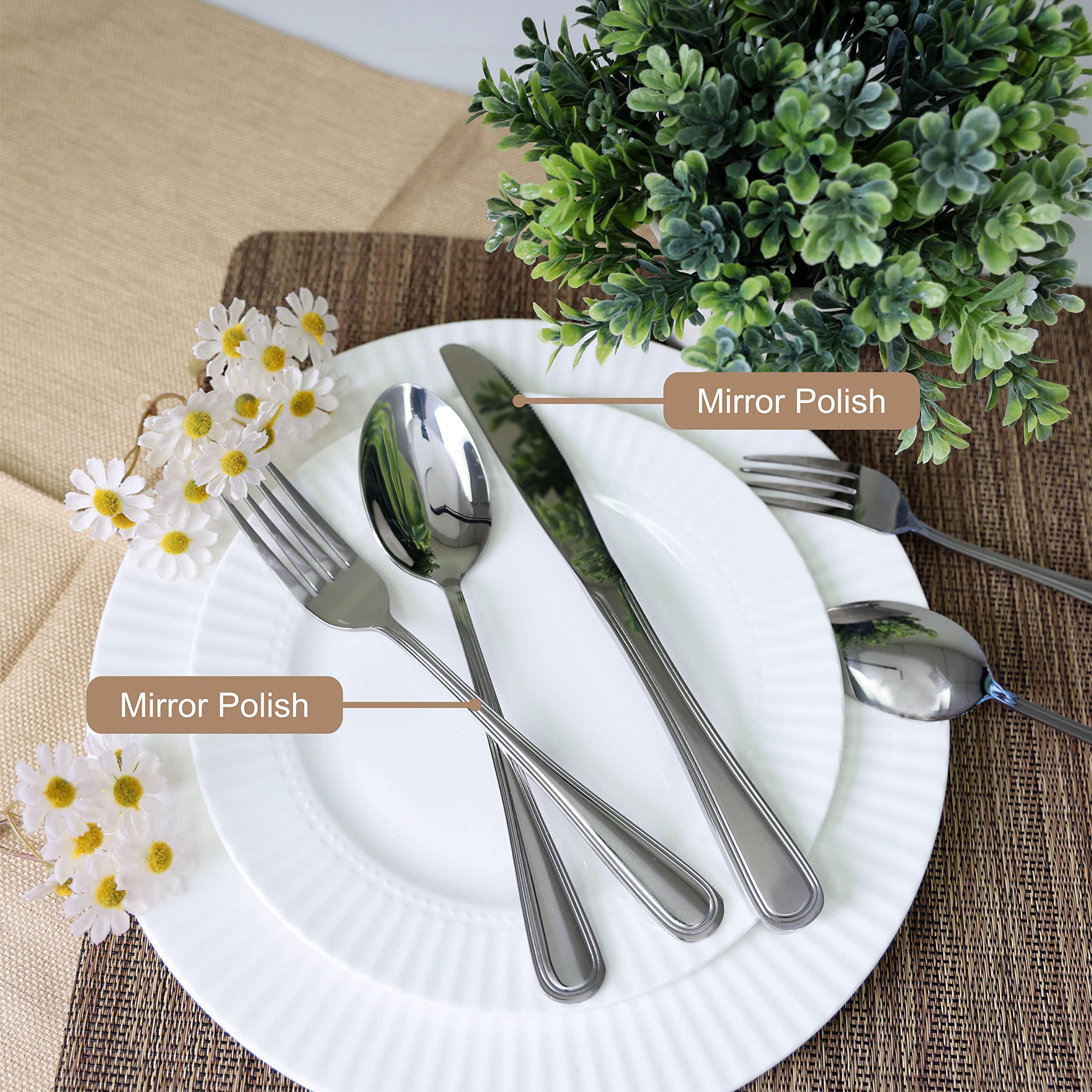 Silverware Set, EVOLUTION TODAYSHOME 20 Piece Stainless Steel Flatware, Service for 4 Cutlery Set Utensils, for Home Kitchen Restaurant, Include Knives Spoons Forks, Mirror Polished, Dishwasher Safe