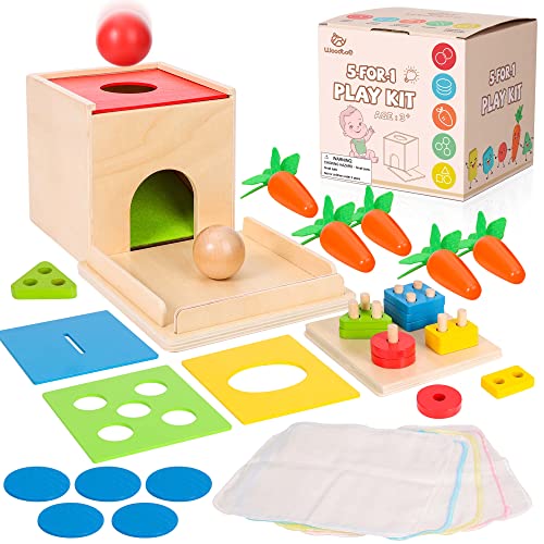 Woodtoe Montessori Toys for Babies 3 Year Old, Wooden Educational Toy, 5 in 1 Play Kit Set with Object Permanence Box, Baby Tissue Box, Carrot Harvest, Coin Box, Toddler Early Development Toy for Baby