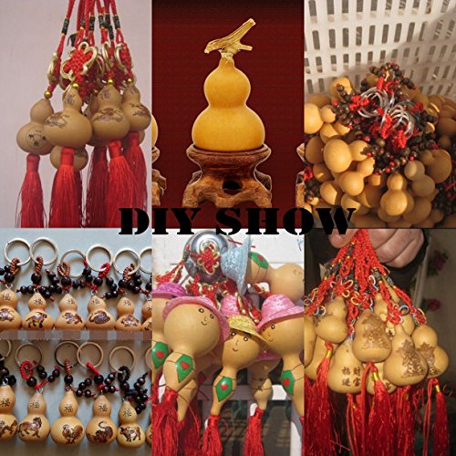 WellieSTR 50-Pack Tiny Natural Dry Gourd Bottle Gourd,4-6.5cm Gourds Mini Cute