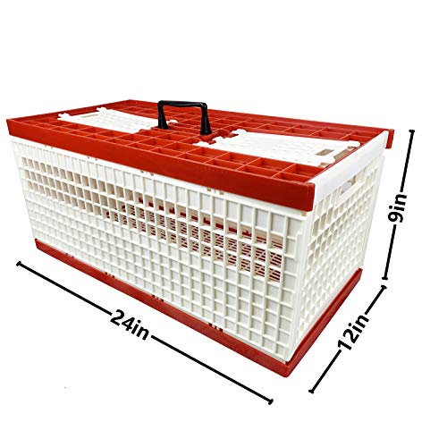 RP PIGEON Plastic Pigeon Cage, Portable Foldable, 24x12x9in, Green