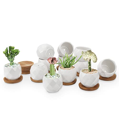 ZOUTOG Succulent Plant Pot 12 Pack, 2.5 inch Square Pattern Ceramic Planters with Bamboo Tray, Small Succulent Pots for Indoor Plants, White Office Desk Decor (Seeds& Plants Not Included)