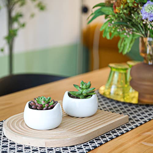 T4U Animal Succulent Pot 4 Inch Set of 6, Cat Shape Ceramic Planter with Drainage Hole, Cute Container for Small Cactus Bonsai Herb Plant, Indoor Home Office Garden Decoration Gift
