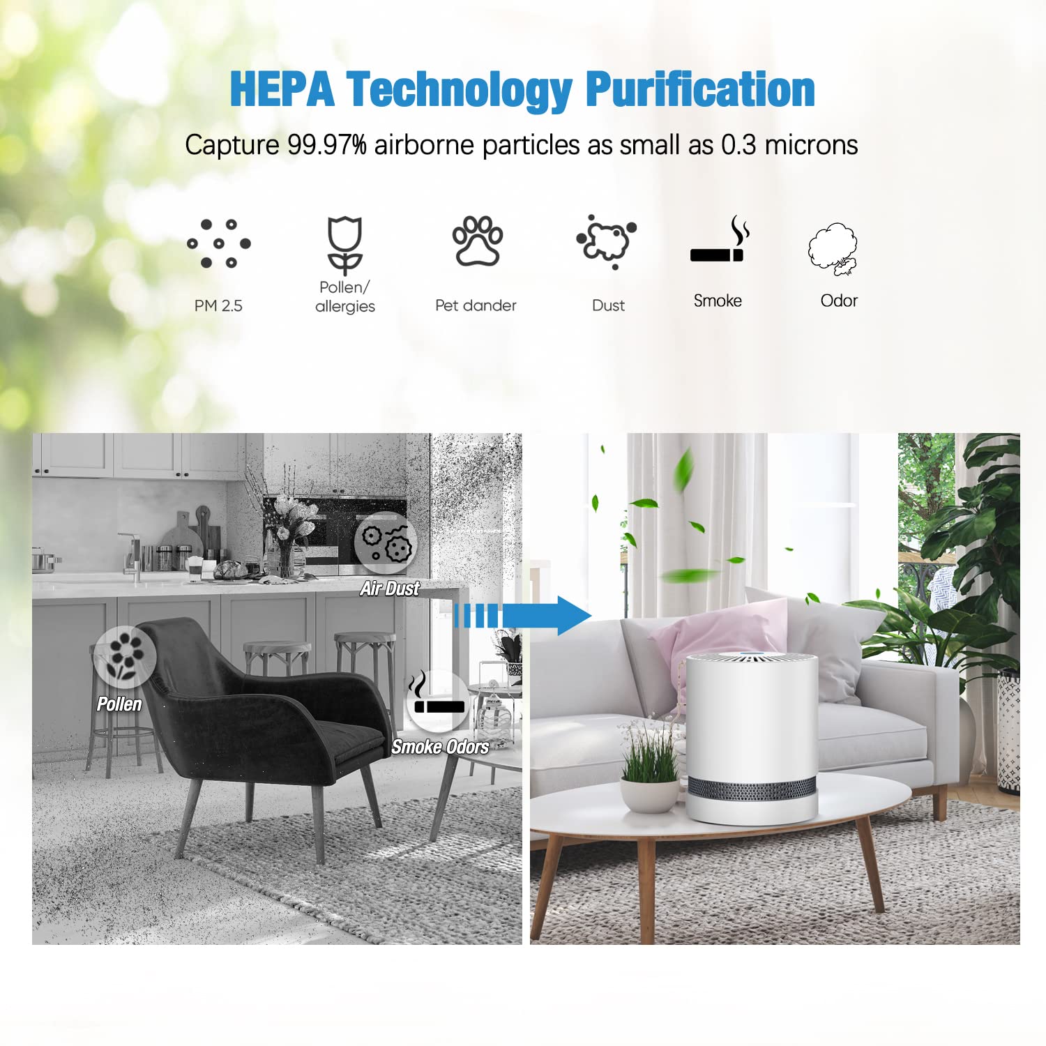 RIGOGLIOSO Air Purifier for Home with True HEPA Filters,Low Noise Portable Air Purifiers with Night Light,Desktop USB Air Cleaner