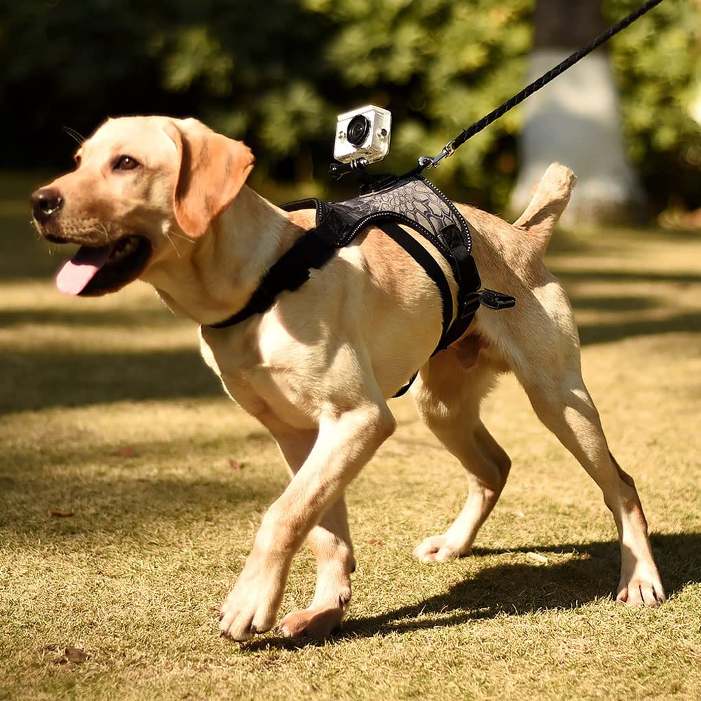 RultSng Pet Dog Harness,Chest Strap Shoulder for Sports Action Camera Fixed Shoulder Strap, Chest Harness Mount Adjustable Chest Strap Belt for Travel Action Cameras Accessories (Size : M)