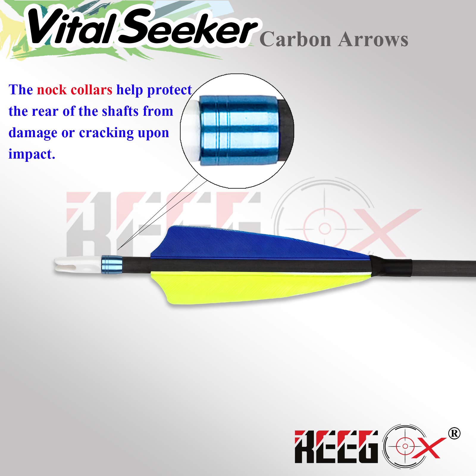 REEGOX Archery Feather Arrows Carbon 30 inch with 4” Turkey Feathers for Hunting Targeting Recurve Compound or Traditional Bow with Removable Tips (6pk)