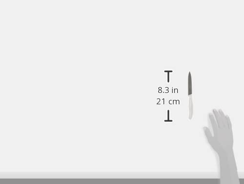 Victorinox Paring Serrated Spear Point Large Polypropylene Handle, White, 4"