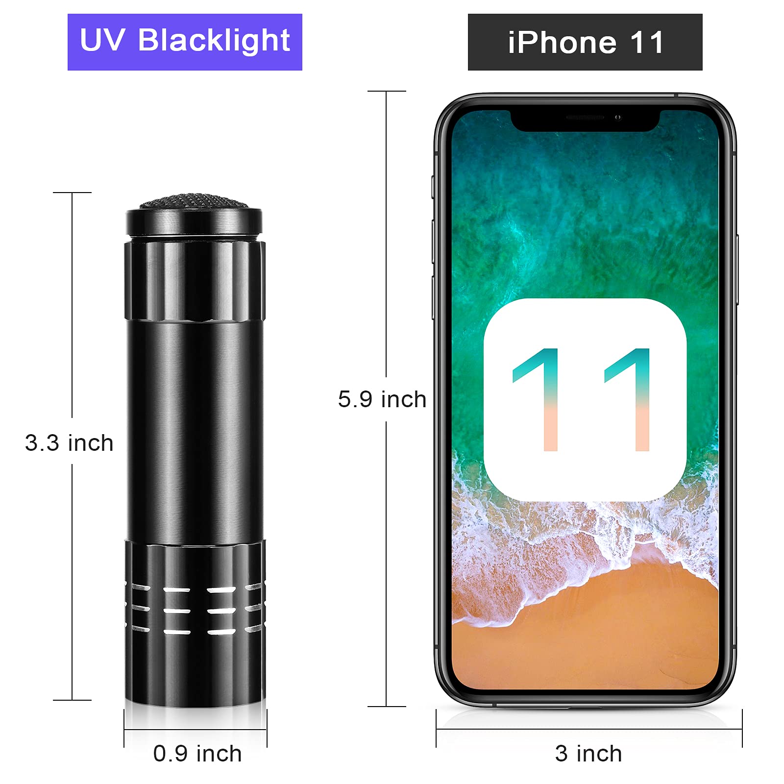 Riakrum 12 Pieces Blacklight Flashlights LED UV Handheld Mini Black Light Flashlight Small Portable UV Light Detector UV Flashlight 395nm 9 LED Light, Not Included Battery (Black)