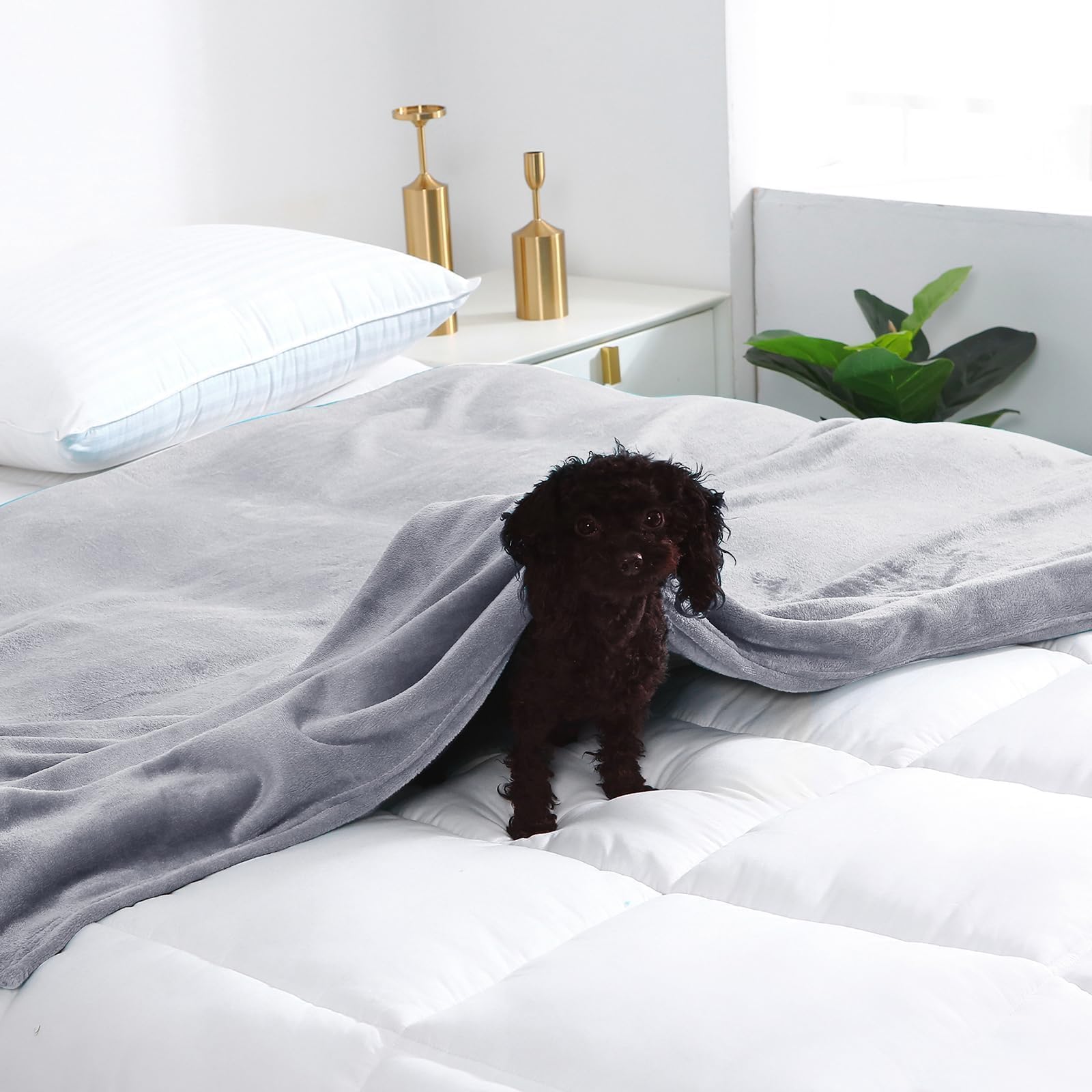 MUXHOMO Fleece Throw Blanket for Couch, Cozy Lightweight Flannel Blanket, Warm Fuzzy Blanket for Winter Bed Sofa Travel (Light Grey, 50" x 60")