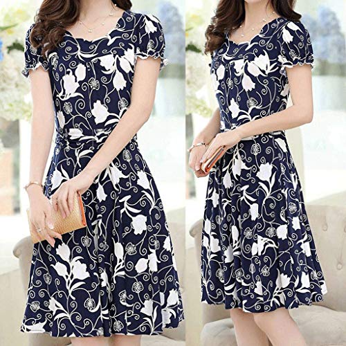 Pinkpaopao Women's A-Line Swing Dress High Waisted Pattern Printed Puff Short Sleeve Pleated Round Neck Dress