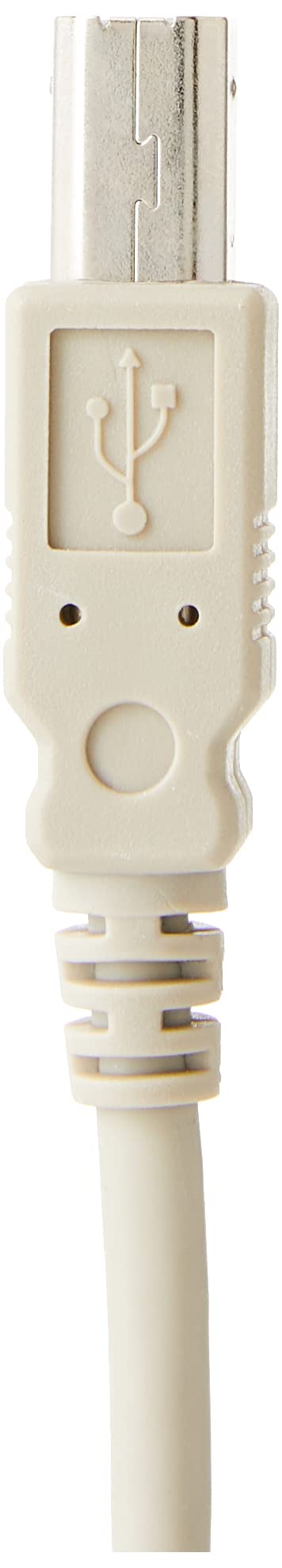 Max Value USB 2.0 Data Cable A Male to B Male, 2 Mtrs, Beige