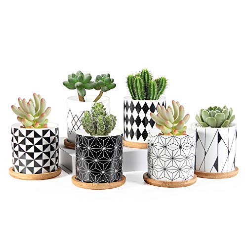 ZOUTOG Succulent Pots, 3 inch Ceramic Mini Succulent Planter Pot, Geometric Pattern Round Small Flower Pots with Drainage and Bamboo Tray, Pack of 6 - Plants Not Included