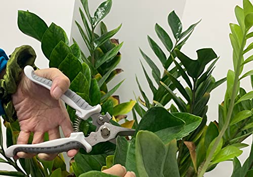 Yojii- Pruning Shears, Gardening Scissors, Pruning Shears, Natural Flower Scissors, Fruit Trees, Garden Trees, Bonsai Pruning Tools for Gardening, Farm Work, Home Gardening