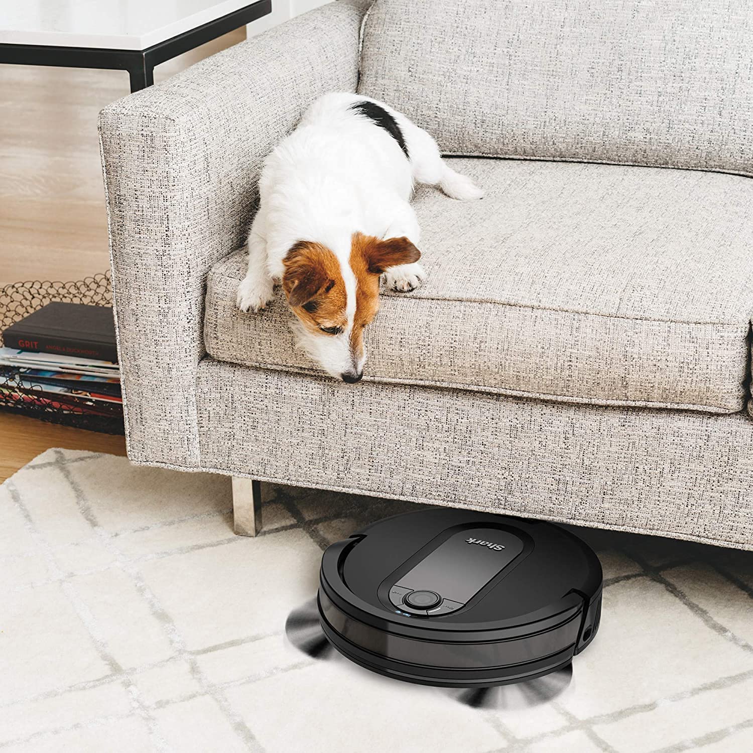Shark IQ Robot RV1000 App-Controlled Robot Vacuum with WiFi and Home Mapping, Pet Hair Strong Suction with Alexa (Renewed)