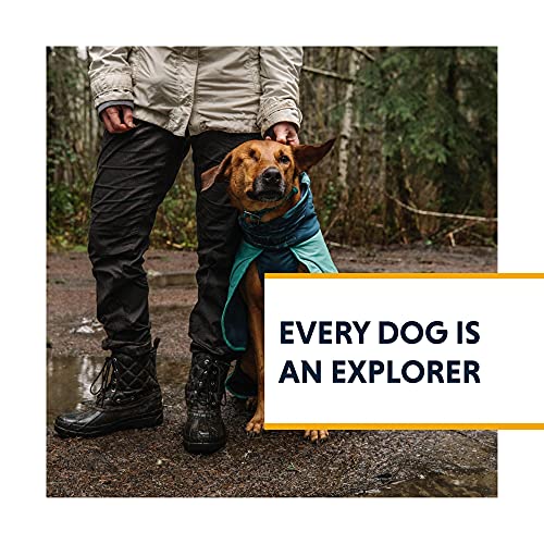 Ruffwear, Dirtbag Dog Towel, Camping and Outdoor Absorbent Coat, Aurora Teal, Medium
