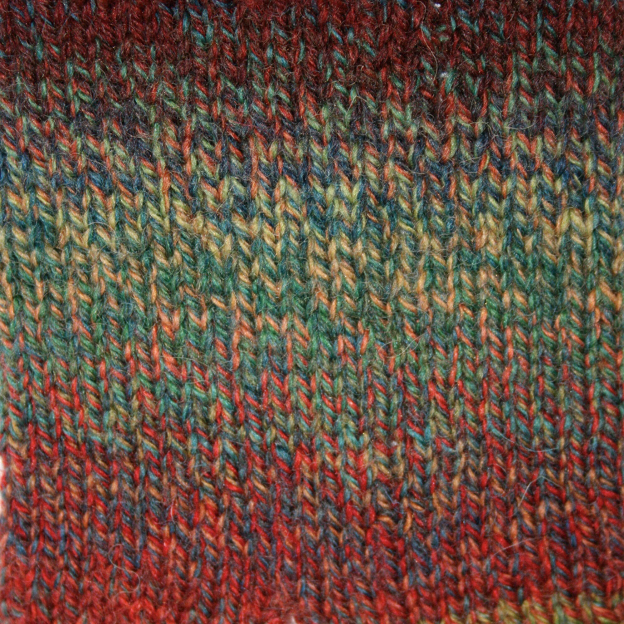 Patons Kroy Socks FX Yarn, 2-Pack, Clover Colors